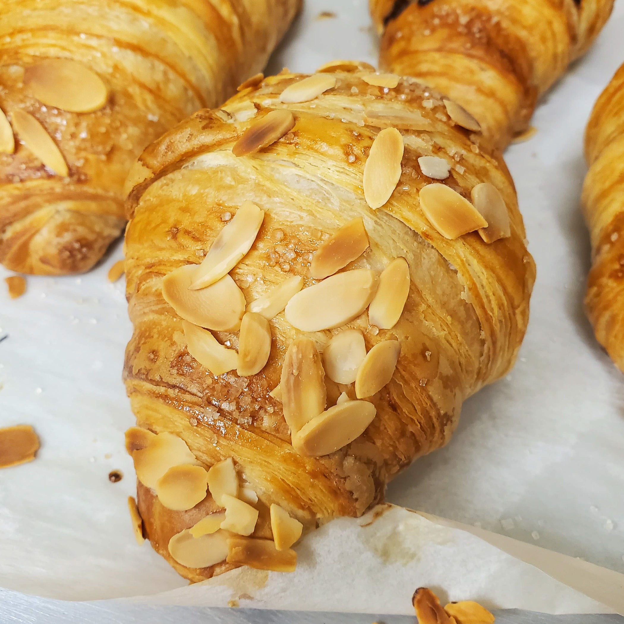 Croissants – La Dolce Vita Bakery